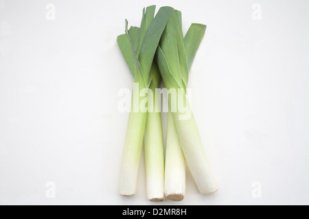 Studio close up four Welsh leeks on white background symbol of Wales ...