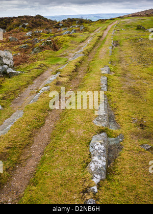 Trackwork remains of the Haytor Granite Tramway in Dartmoor National ...