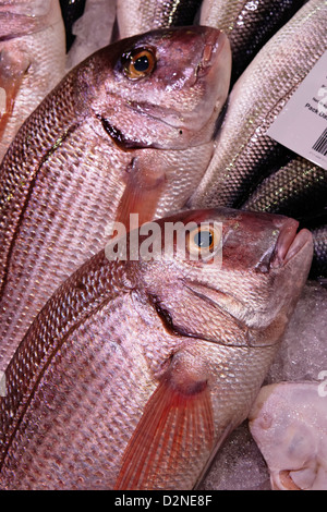 pargo porgy seabream fish market chamberi madrid spain fresh seafood ...
