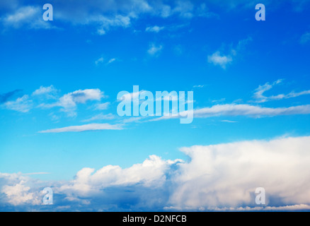 nice weather and blue cloudy sky. Bird (duck) flying and enjoying the ...