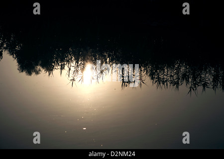 La Albufera at dusk. Valencia, Spain Stock Photo - Alamy