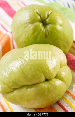 Chow Chow Cho-Cho or Cho Cho vegetable Stock Photo - Alamy