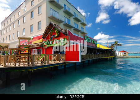 Señor frog bar - Nassau Bahamas Stock Photo: 63810210 - Alamy