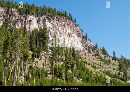 Tuff Cliff in Yellowstone National Park Stock Photo - Alamy