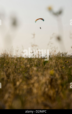 Powered parachute flying low just above trees . Small, low powered ...
