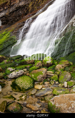 Blumenthal Falls (Oswald West State Park) along the Oregon coast. USA ...
