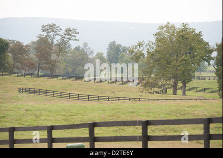 Country pasture in Middleburg VA Stock Photo - Alamy