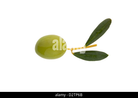 SINGLE GREEN OLIVE CUT OUT Stock Photo - Alamy