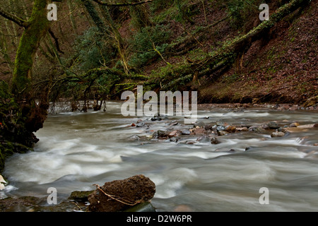 Spectacular fast-flowing Arbirlot Waterfall and the Elliot Water is ...