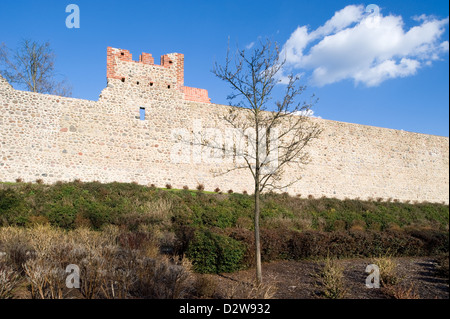 Strausberg, Germany, the city wall Strausberger Stock Photo - Alamy