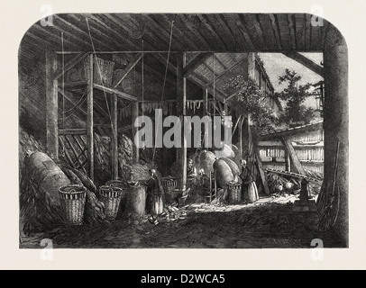 THE TREATY WITH FRANCE FRENCH RAGS AND FRENCH PAPER: RAG-SORTER IN ...