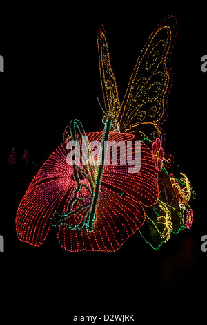 A night time parade Disneyland Paris Stock Photo - Alamy