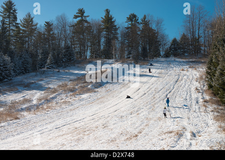 Sledding slope in rouge valley park, Toronto, Canada Stock Photo - Alamy