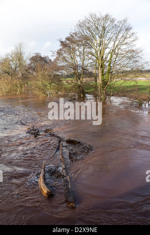 The river Usk in flood Stock Photo - Alamy