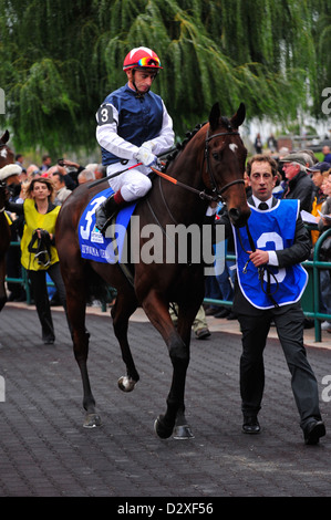Gerald Mosse, jockey Stock Photo - Alamy