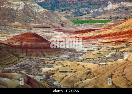 View of rolling hills painted in vibrant yellows and greens meet a ...