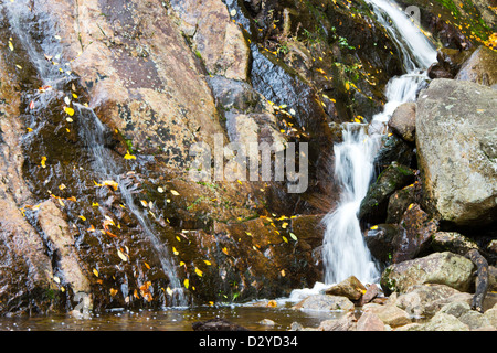 Small waterfall on an autumn day in the Palatinate Forest of Germany ...