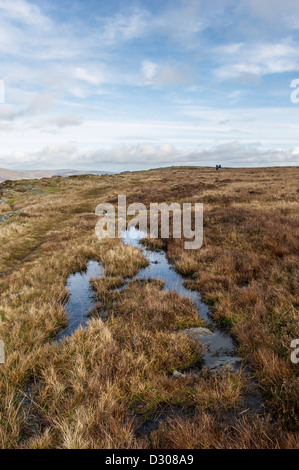 Llangynidr Moors in Wales Stock Photo - Alamy
