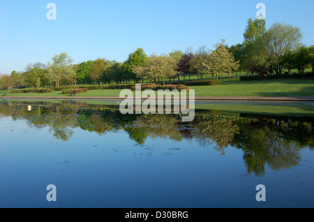 Pond in Alexandra Park in Glasgow, Scotland Stock Photo - Alamy