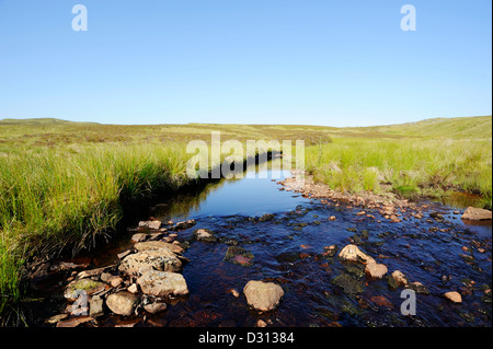 Afon Serw, the river which runs through Migneint, an upland moorland ...