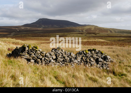 Ancient building remains on Migneint, an upland moorland in North Wales ...