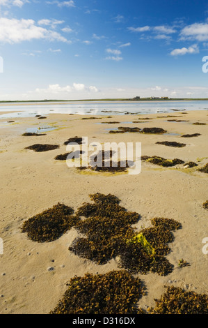 Peedie Sea on the island of Sanday - Orkney, Scotland, UK Stock Photo ...