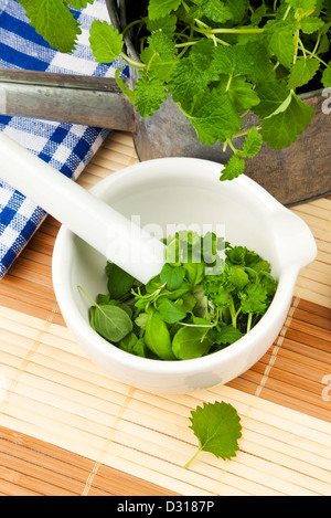 Variety of fresh organic herbs on wooden background. Freshly harvested ...