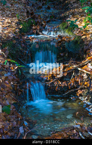Autumn woodland stream with cascades and leaves Stock Photo - Alamy