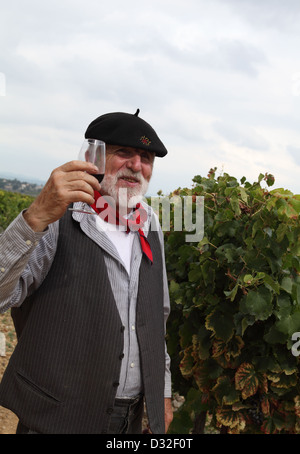 Old Frenchman tasting wine in vineyard St Christol, Pays de Lunel ...