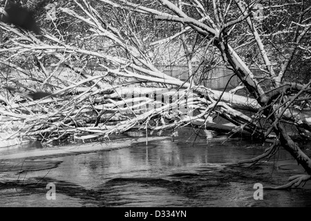 A grayscale shot of a white snow-covered mountain under a sunny sky ...