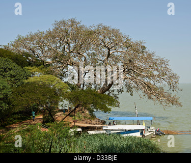 Lake Tana, the largest lake in Ethiopia and the source of the Blue Nile ...