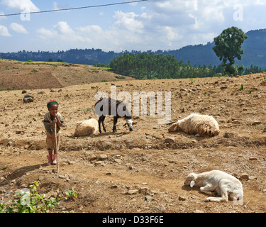 A young child stands with a stick playfully on a barren dry shield with ...