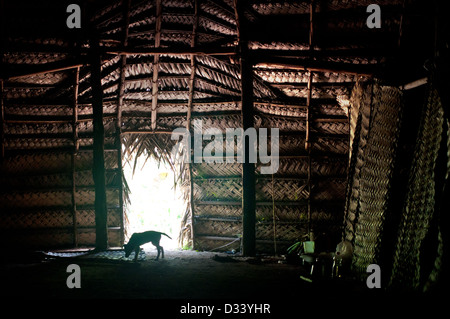 A maloca, traditional Matses Mayorunas house, Amazonian Peru Stock ...