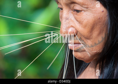 A Matses Mayorunas elderly woman with traditional whiskers and tattoos ...