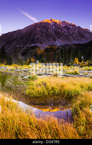 Reflections in a beaver pond at sunset, Greater Sudbury, Ontario ...
