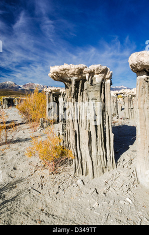 Sand tufa formations on the south shore of Mono Lake, Mono Basin ...