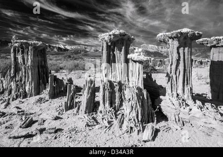 Sand tufa formations on the south shore of Mono Lake, Mono Basin ...