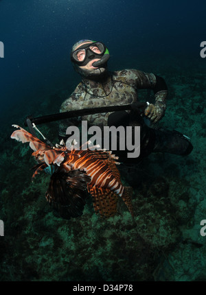 Diver spearing invasive lionfish in the Cayman Islands Stock Photo - Alamy