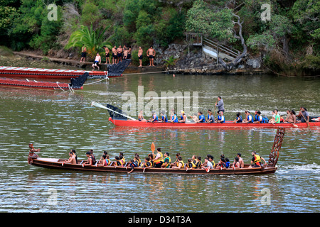 Moari waka on the Waitangi River during Waitangi Day celebrations Stock ...