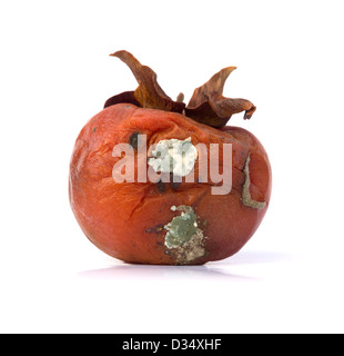 Isolated persimmon. One persimmon fruit over white background with ...