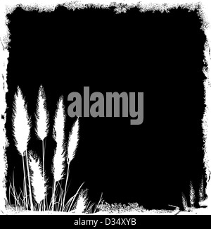 Pampas Grass Silhouette Stock Photo - Alamy