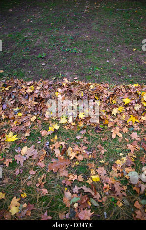 Yard geometrically half raked on a diagonal leaving the task unfinished ...