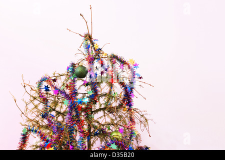 Dead Christmas tree Stock Photo - Alamy