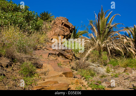 Dike in Tenerife Stock Photo - Alamy
