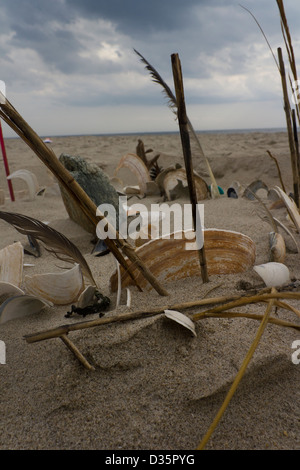Sandcastle with shell Stock Photo - Alamy