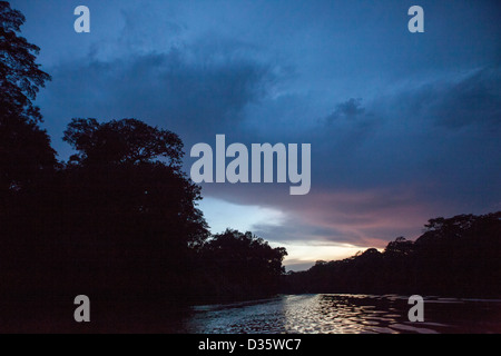 CONGO, 29th Sept 2012: The Dja river at twilight Stock Photo - Alamy