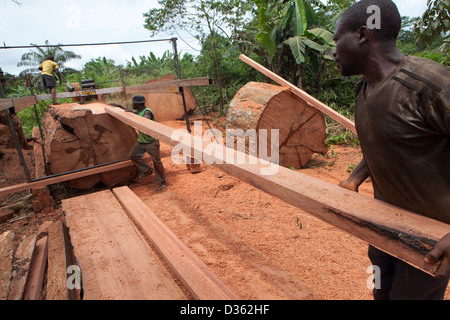 CAMEROON, 2nd October 2012: A logging truck carrying high value ...