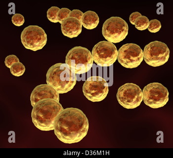 Illustration of cocci bacteria Stock Photo - Alamy