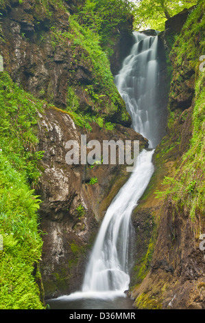 Ess-na-Larach waterfall, Glenariff Forest Park, County Antrim, Northern ...