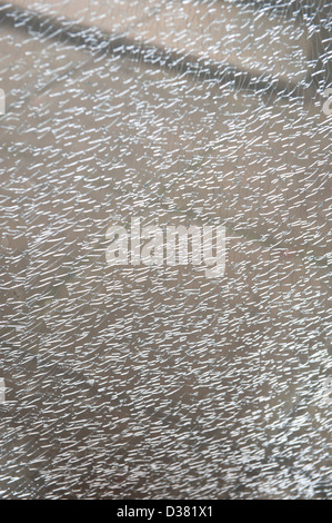 smashed broken double glazed window facing main road as a result of ...
